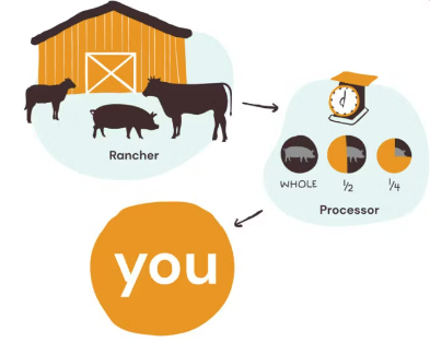 Quality Farm Fresh Grass Fed Beef and lamb – IRON H RANCH